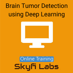Brain Tumor Detection using Deep Learning Online Live Course